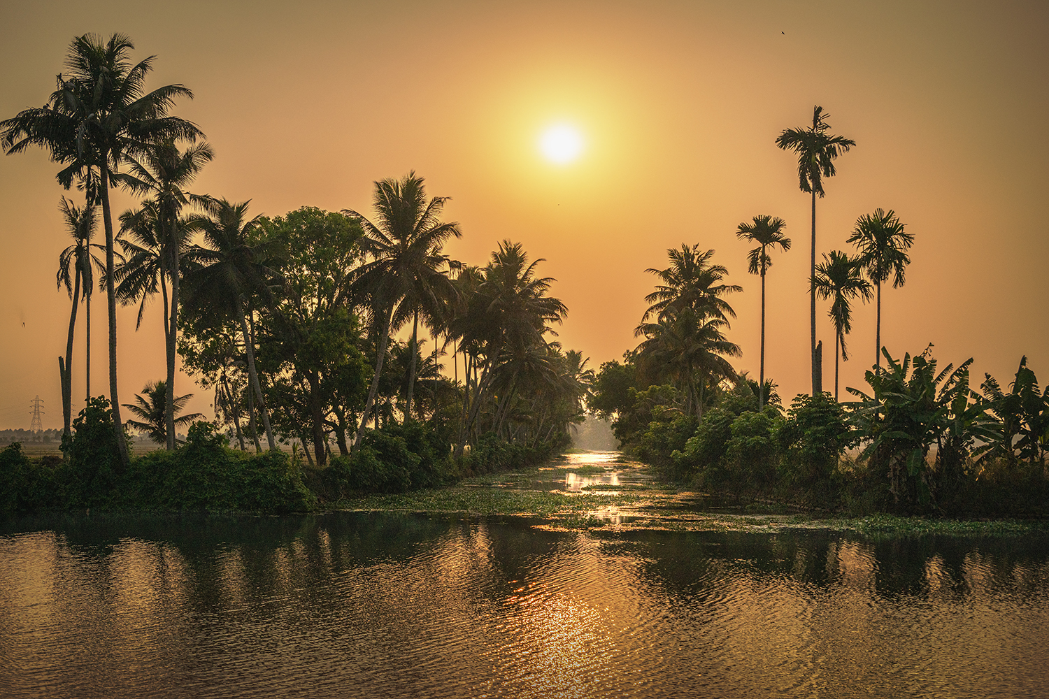 A Reverie of the Backwaters - CGH - Earth Calling